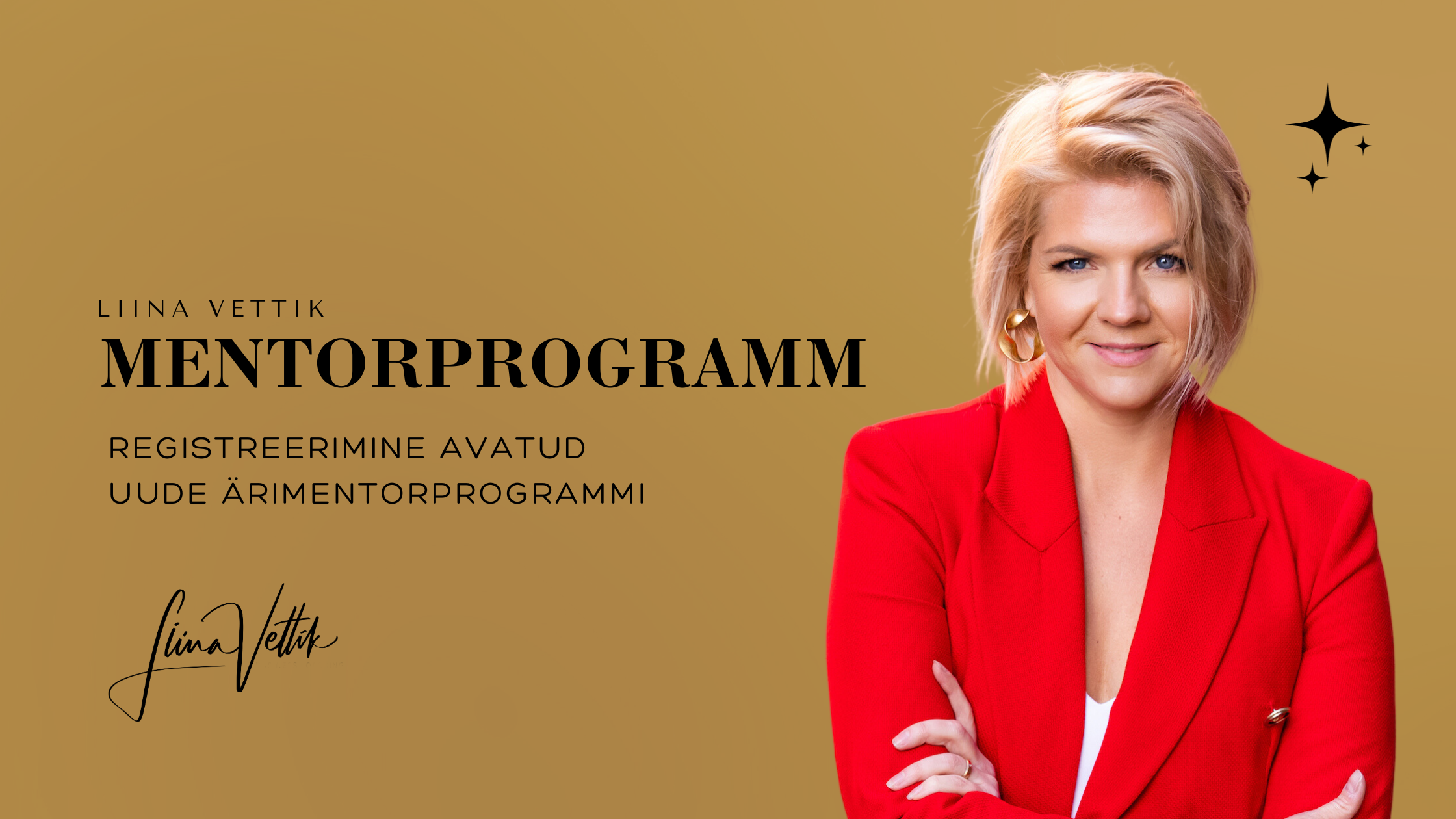 Mentorprogramm - Liina Vettik